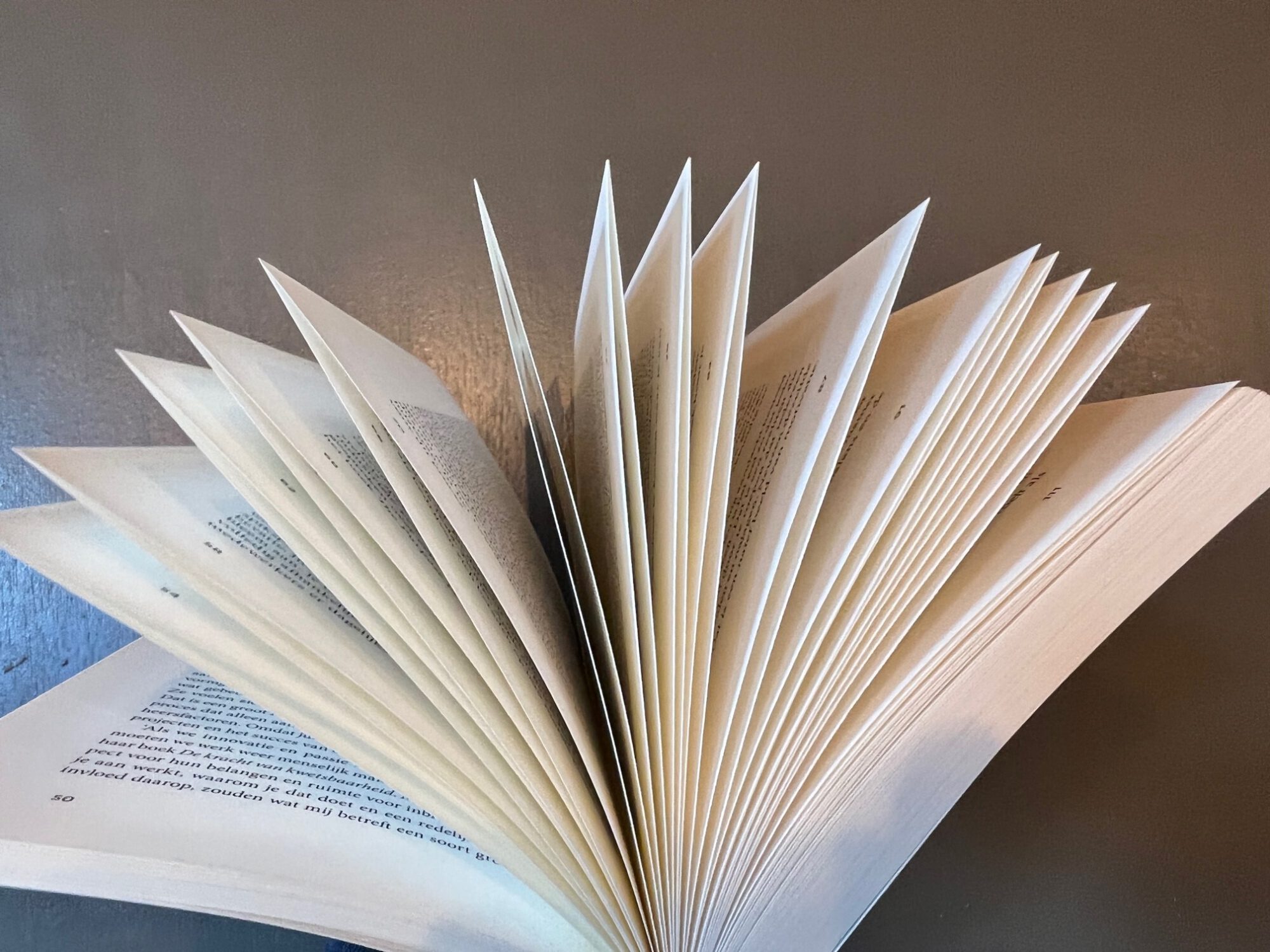 Over het boek – Motivatieparadox